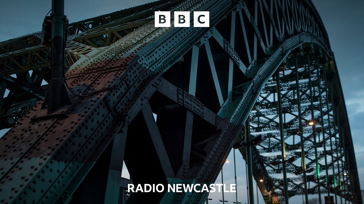 BBC Radio Newcastle - BBC Radio Newcastle, Petition to put mesh on ...