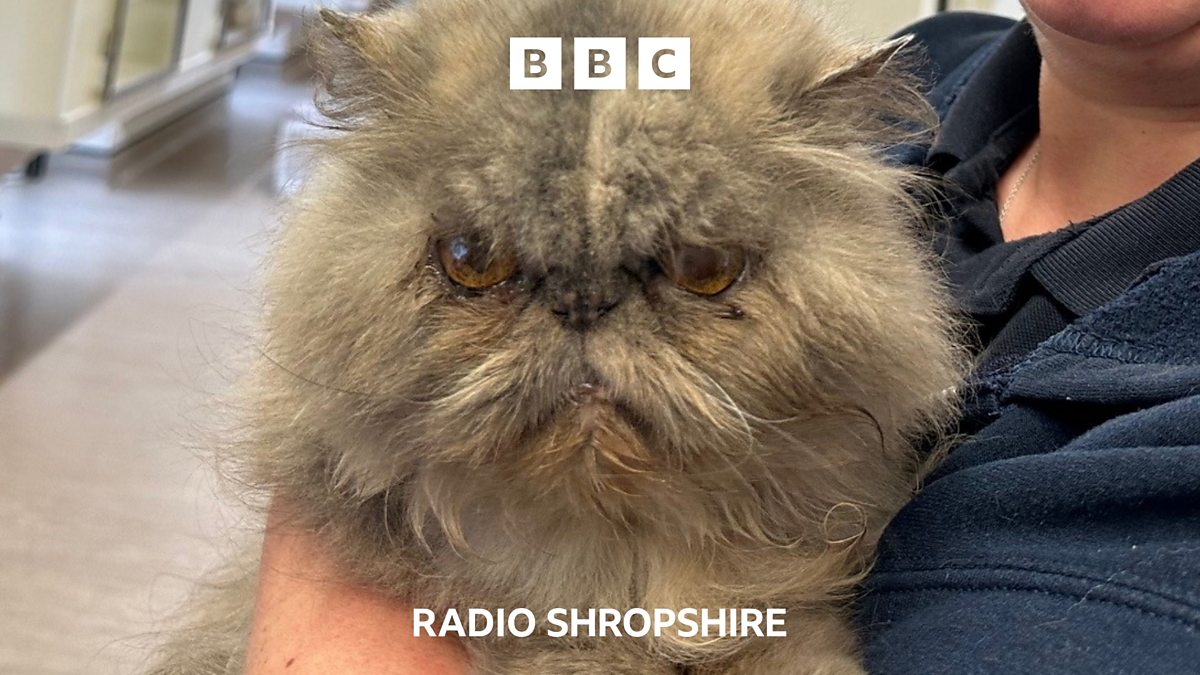 BBC Radio Shropshire - BBC Radio Shropshire, Dorrington RSPCA re-homing ...