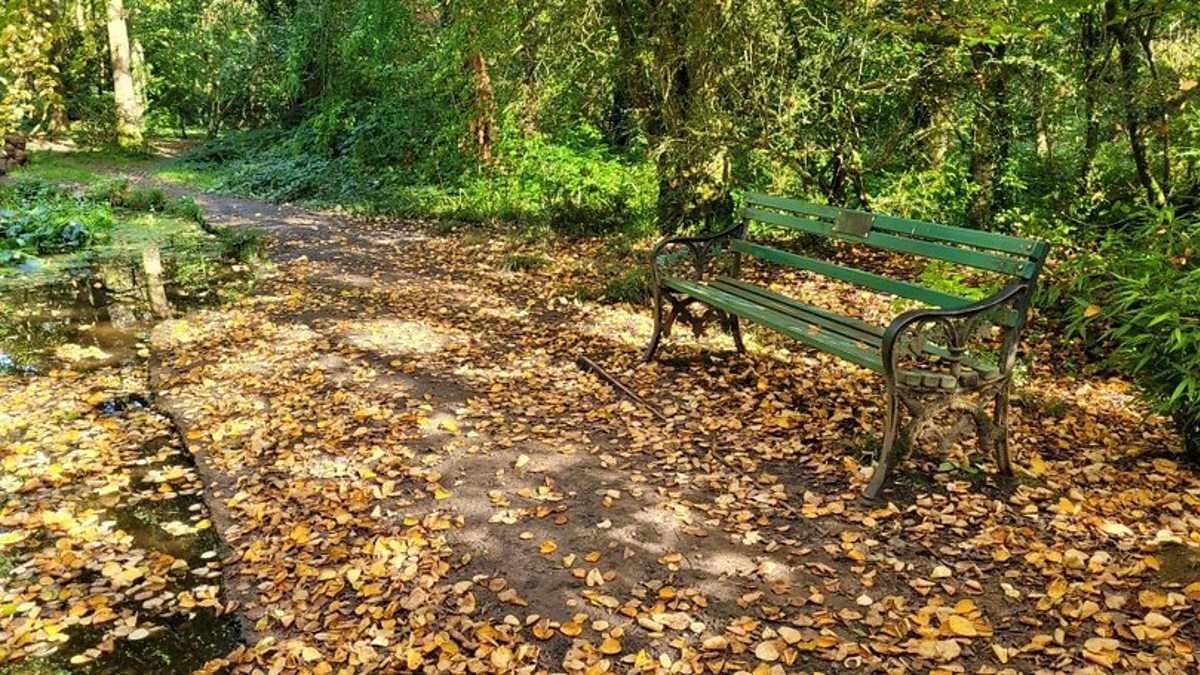BBC Radio Cymru - Aled Hughes, Gwobr Gerddoriaeth Gymreig, Cerdd Clare ...