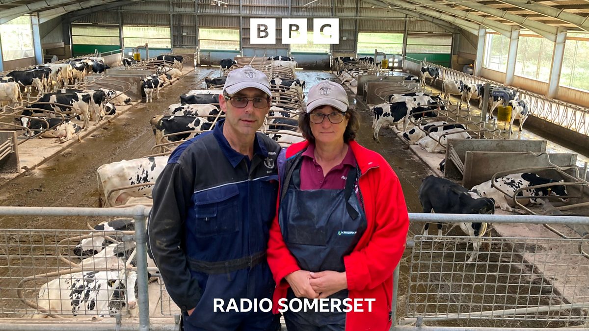 BBC Radio Somerset - BBC Radio Somerset, The impact of bovine TB on Somerset farmers