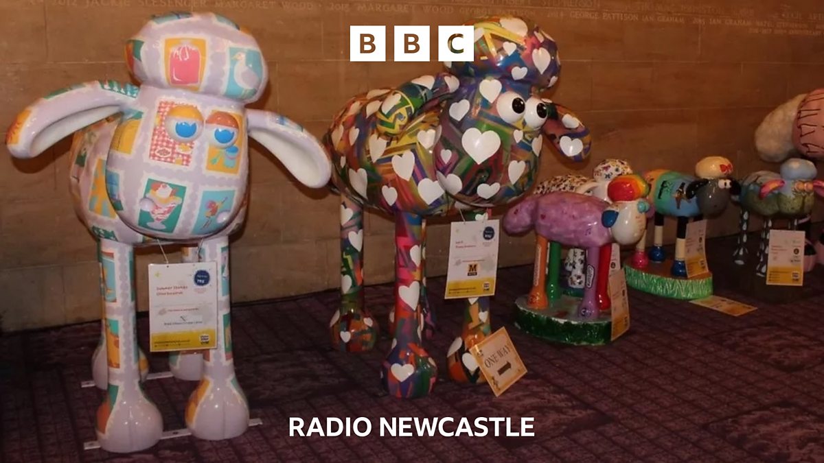BBC Radio Newcastle - BBC Radio Newcastle, Sheep raise £195k for ...