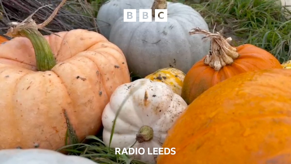BBC Radio Leeds - BBC Radio Leeds, Leeds farm with nearly 50,000 pumpkins