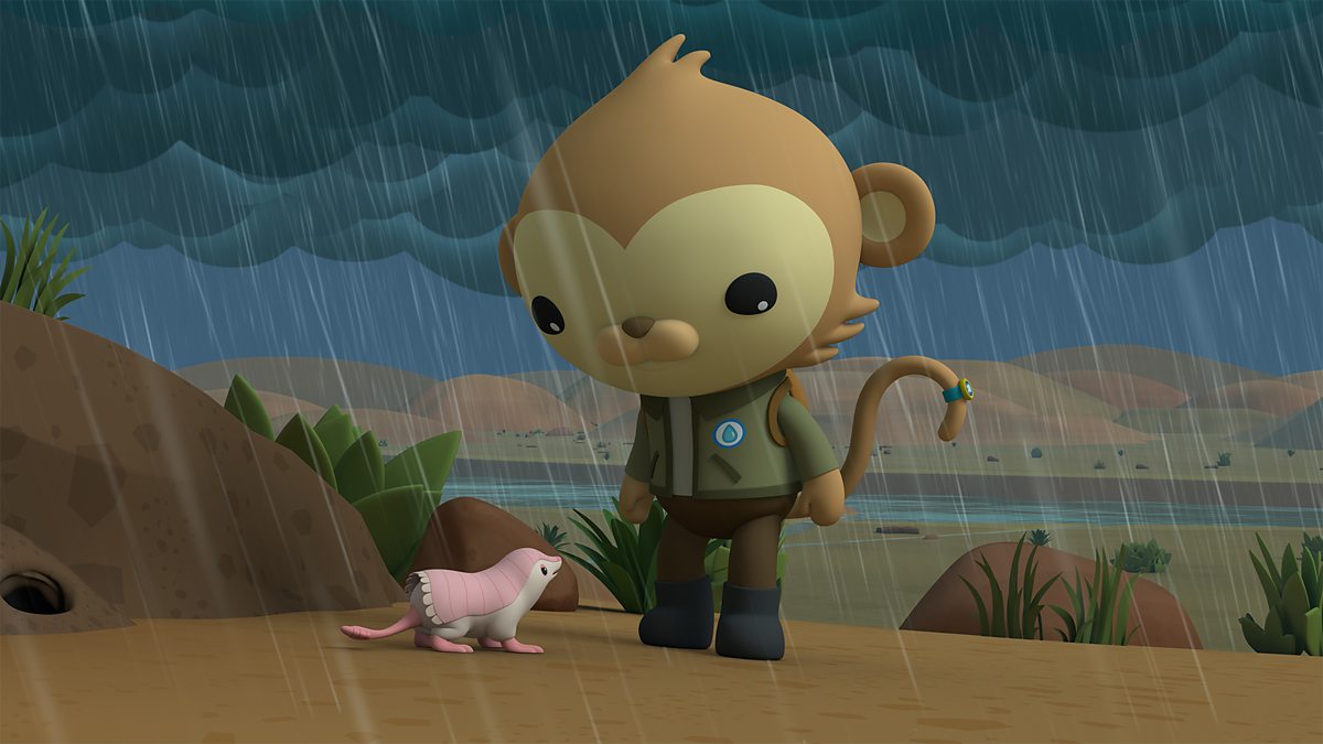 Octonauts: Above & Beyond - Series 3: 3. Pink Fairy Armadillo - BBC iPlayer