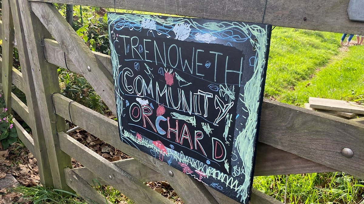 BBC Radio Cornwall - Jack Murley, Mel Osborne sits in (14/10/2023), Cornish community orchards ...
