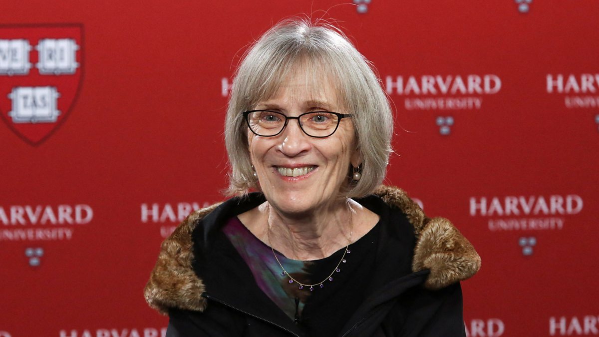 BBC World Service - More or Less, Greedy jobs and the gender pay gap