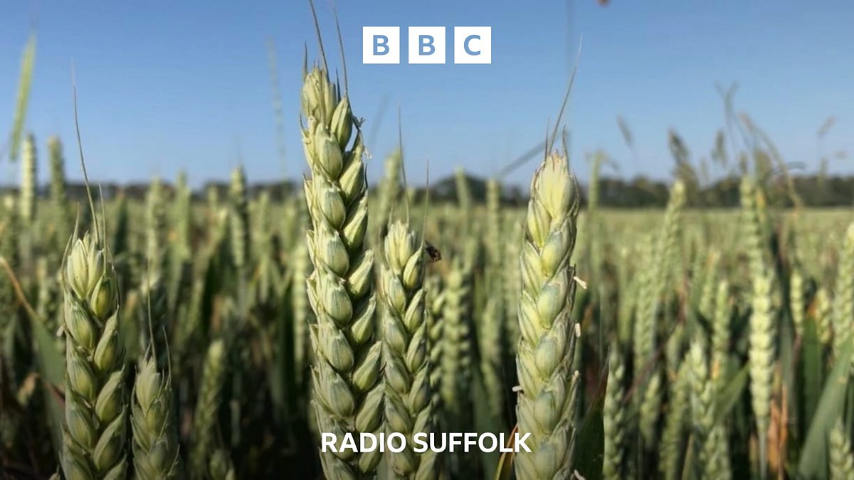 BBC Radio Suffolk - BBC Radio Suffolk, Lavenham: What I love about ...