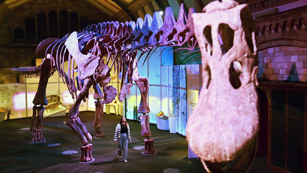 BBC Local Radio - Chris Baxter, Professor Ben Garrod