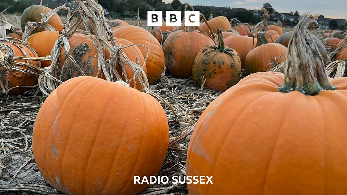 BBC Radio Sussex - BBC Radio Sussex, Sompting Pumpkins - not just for ...