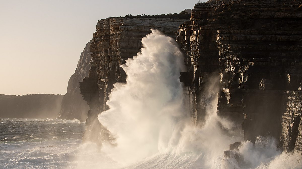 BBC One - Planet Earth III - Coasts: What to expect