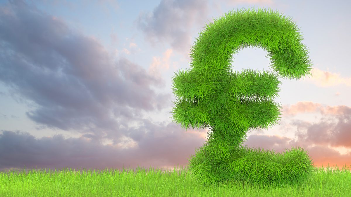 BBC Radio - 6 Minute English, How green is your money?