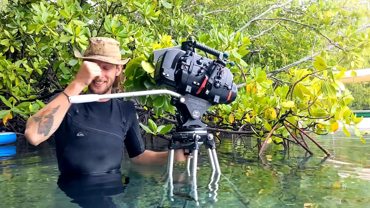 BBC One - Planet Earth III, Series 1, Coasts, Making Planet Earth III ...