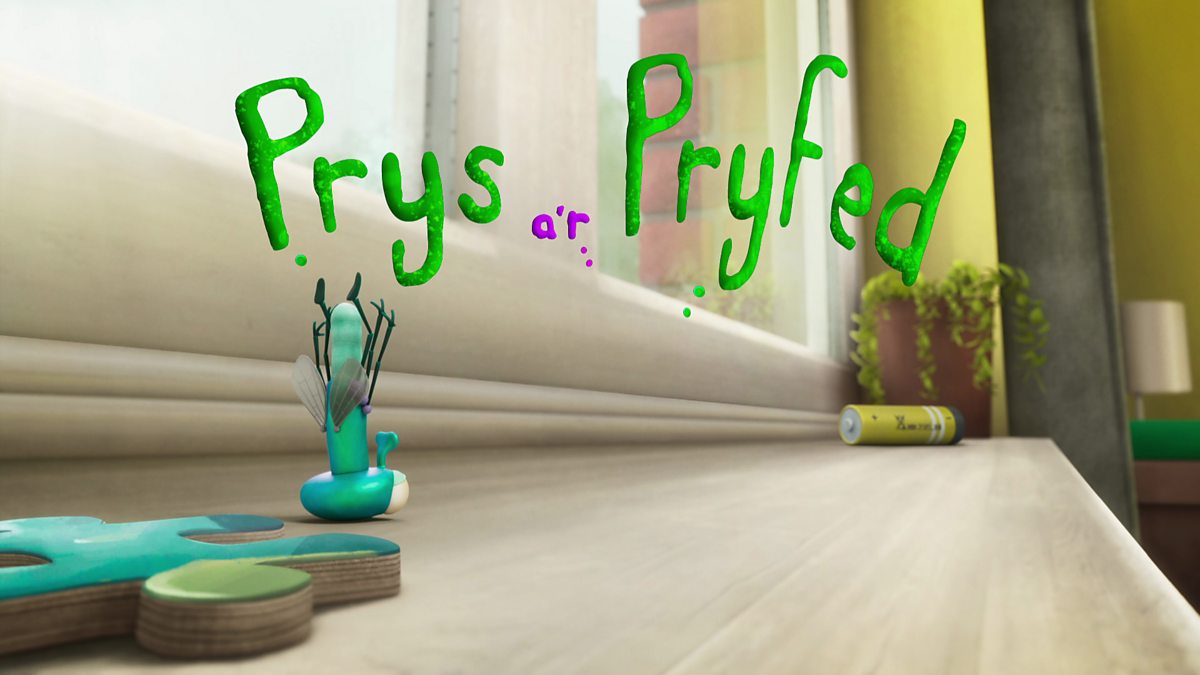 S4C - Prys a'r Pryfed, Cyfres 1, Prys Cwl