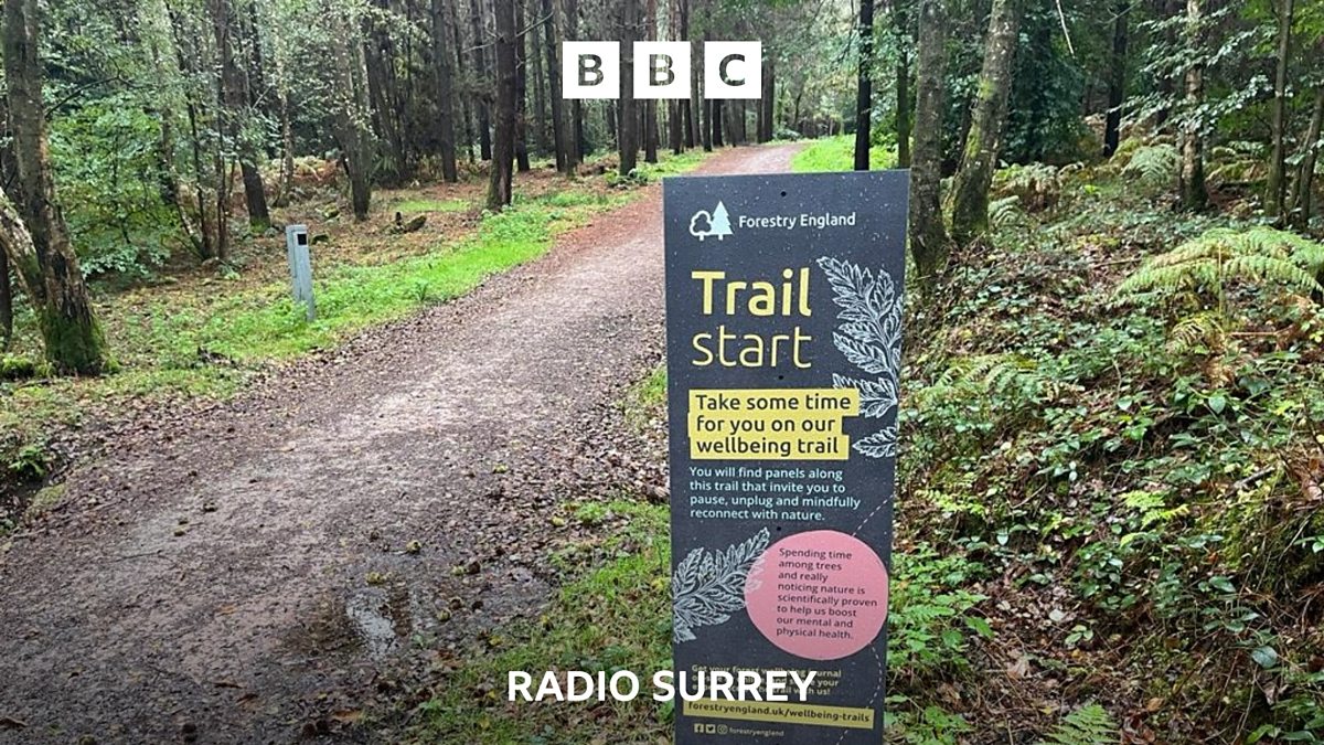BBC Radio Surrey - BBC Radio Surrey, Clear your head in Alice Holt's ...