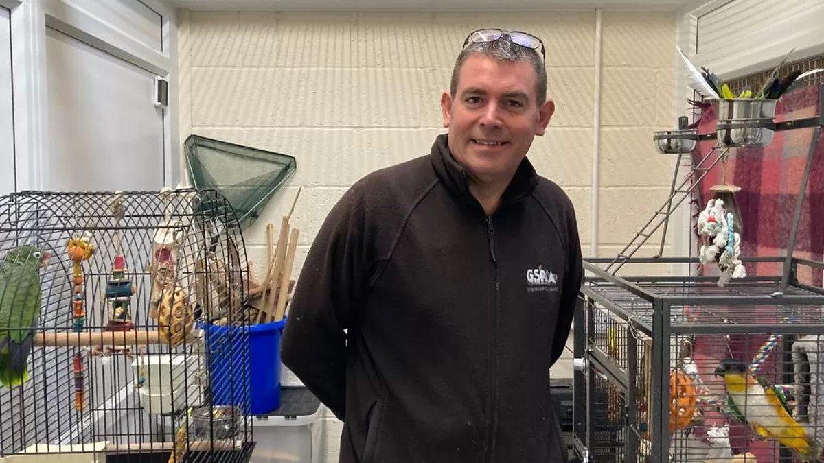 BBC Radio Guernsey - Tim Hunter, 26/10/2023, GSPCA open new small ...