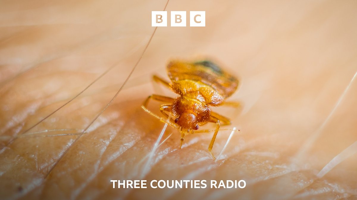 BBC Three Counties Radio - BBC Three Counties Radio, Bitten by hotel ...