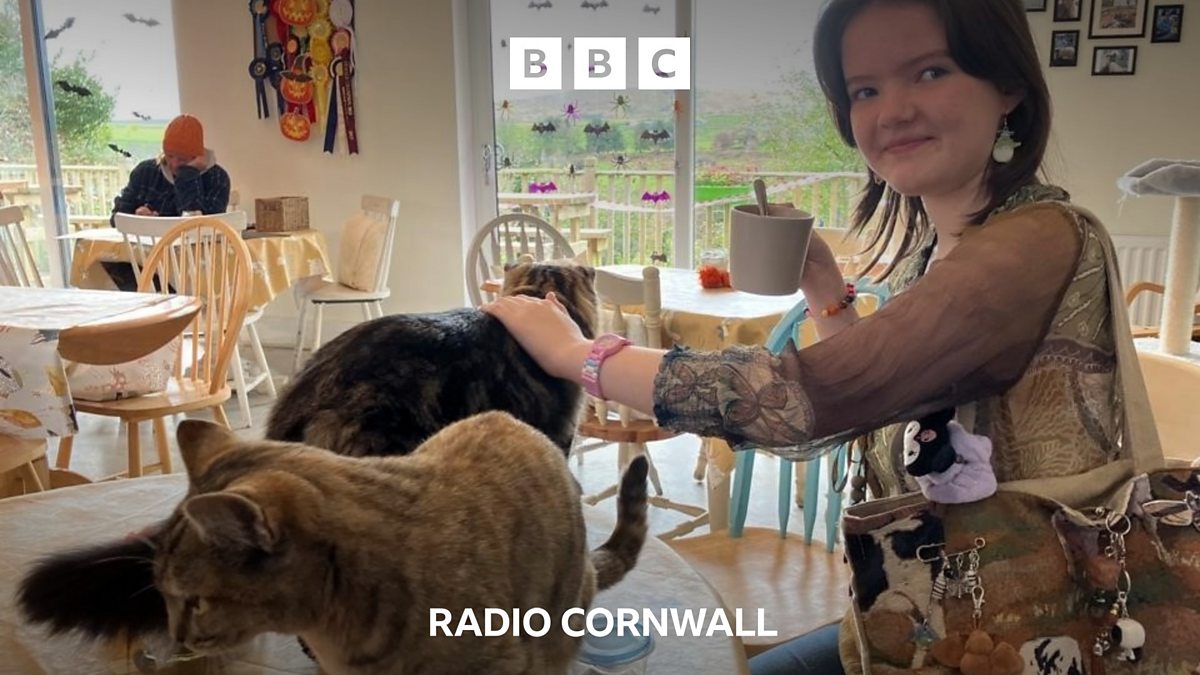 BBC Radio Cornwall - BBC Radio Cornwall, Feline thirsty? Cornwall's ...