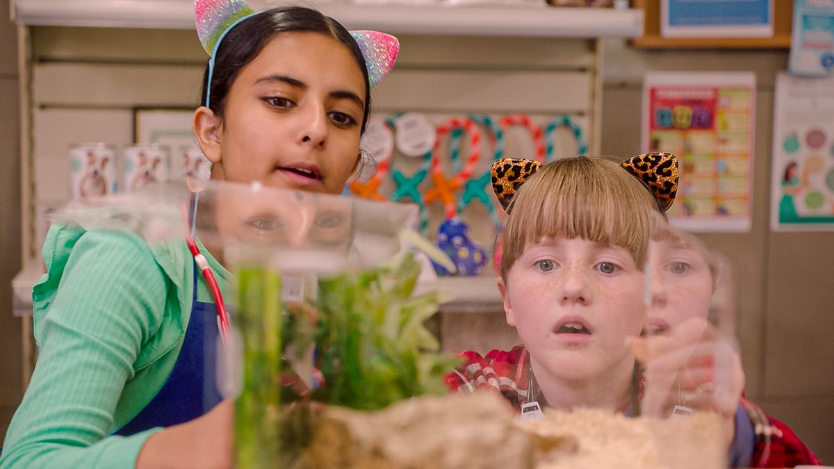 Biff and Chip - Series 3: 3. Snake Surprise - BBC iPlayer