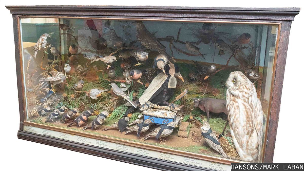 BBC Radio Leicester - Jo Bostock, 27/10/2023, 'Creepy but incredible ...