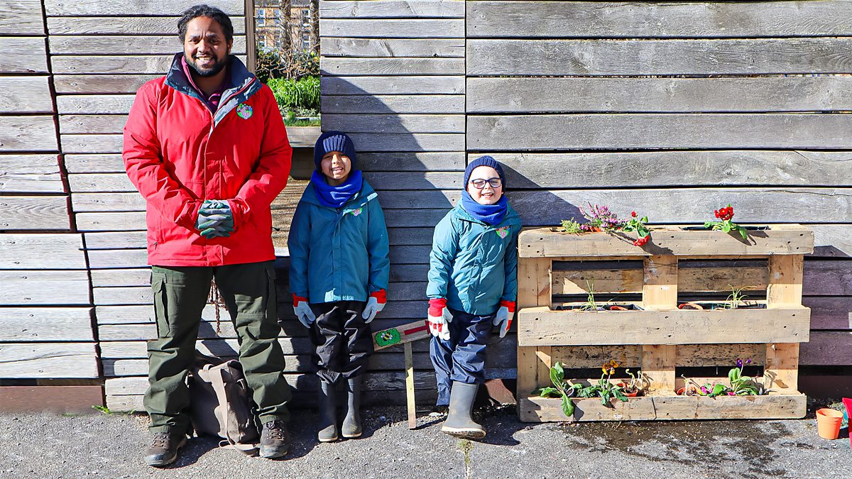 Ranger Hamzas Eco Quest - Minis: 13. Green Wall - BBC iPlayer