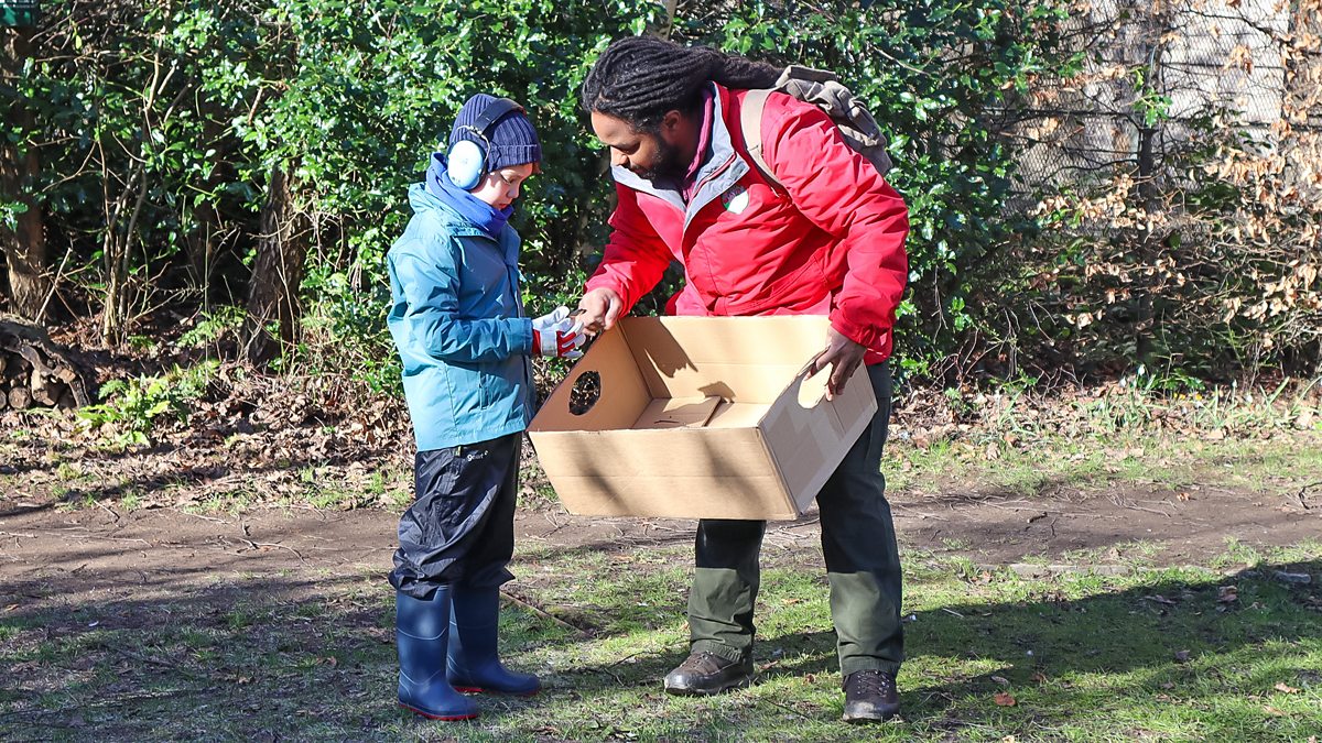 Ranger Hamzas Eco Quest - Minis: 15. Nesting Materials - BBC iPlayer