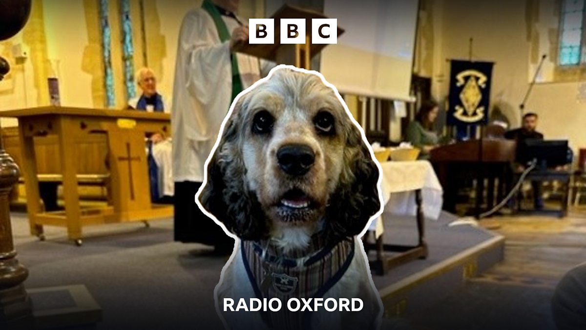 BBC Radio Oxford - BBC Radio Oxford, Dogs in Ducklington go to church!