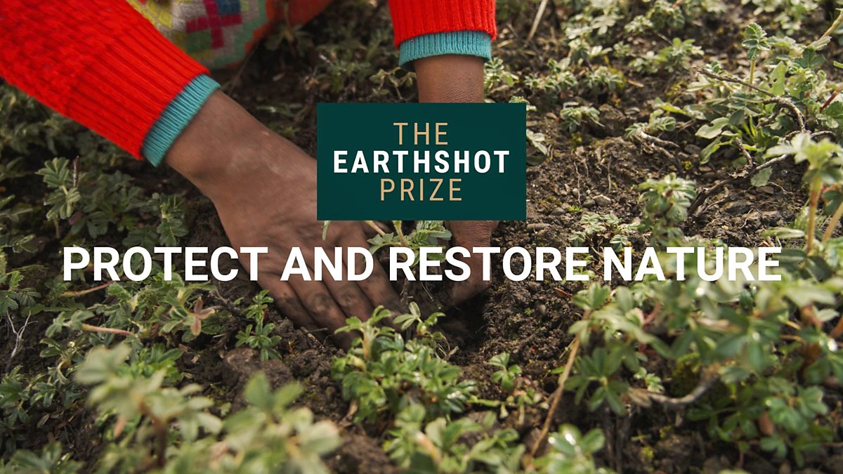 The Earthshot Prize - 2023 Nominees: 2. Protect and Restore Nature ...