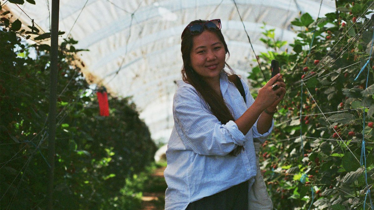 BBC World Service - The Documentary, The raspberry visa