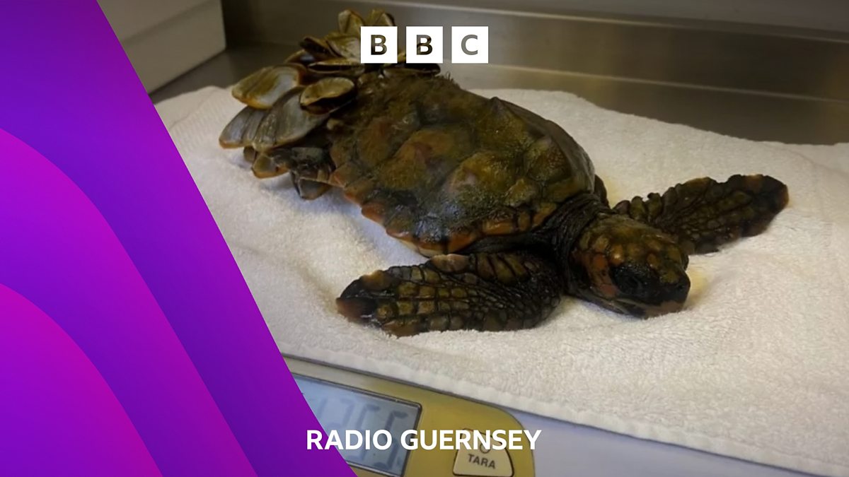 BBC Radio Guernsey - BBC Radio Guernsey, Meet Barnacle Bill