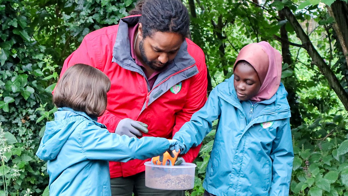 Ranger Hamza's Eco Quest - Minis: 18. Reclaim a Space for Nature ...