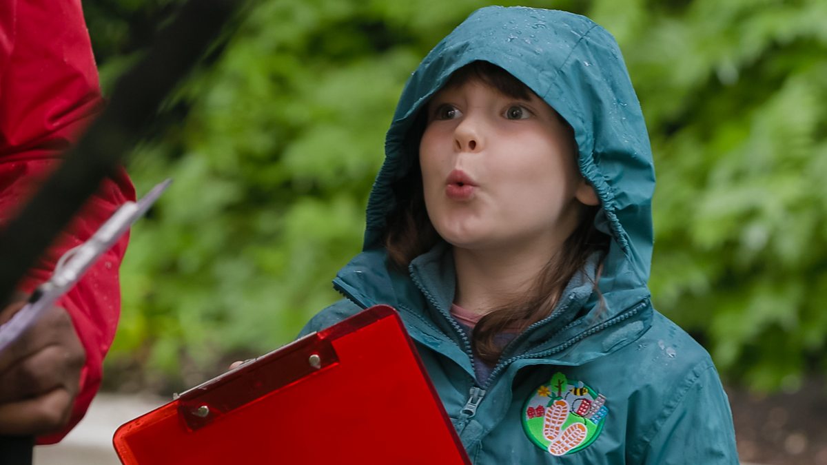 Ranger Hamzas Eco Quest - Minis: 19. Nature Spotting - BBC iPlayer