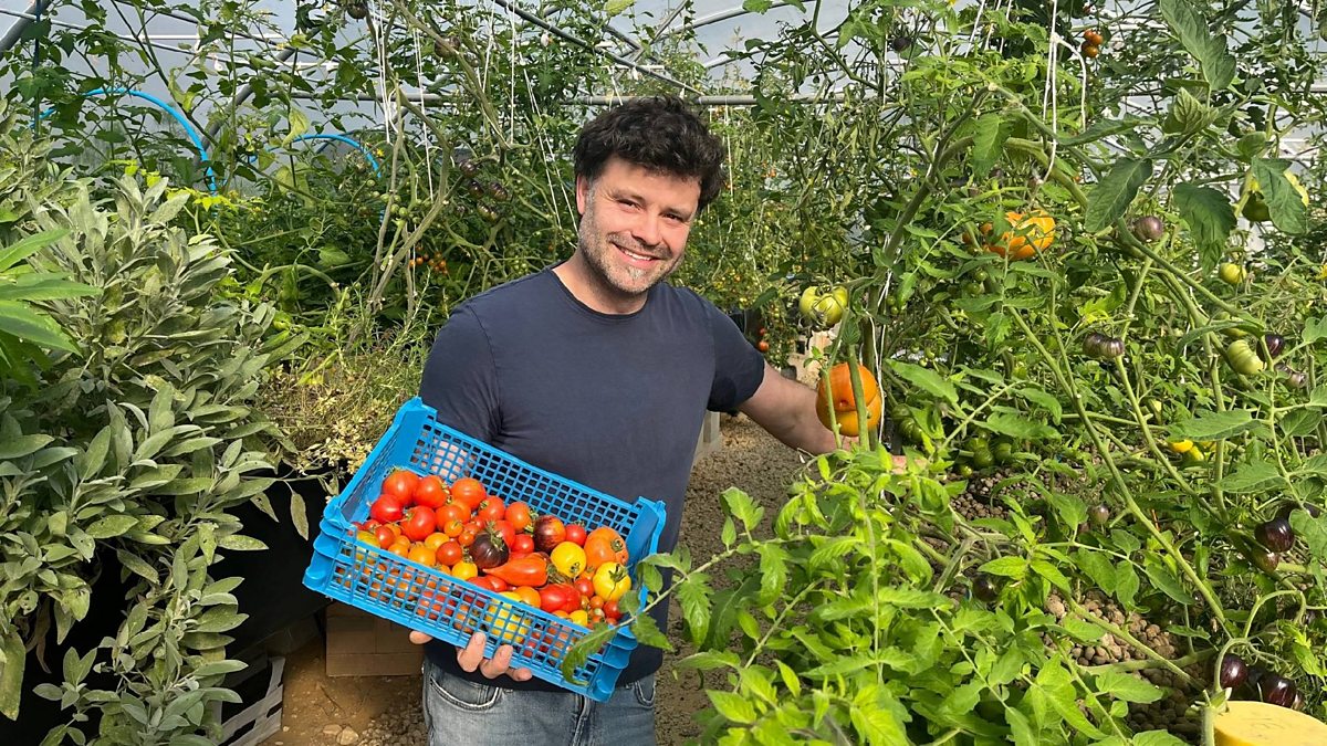 BBC Radio Sheffield - The Grow Show, Growing without soil at The Burnt ...
