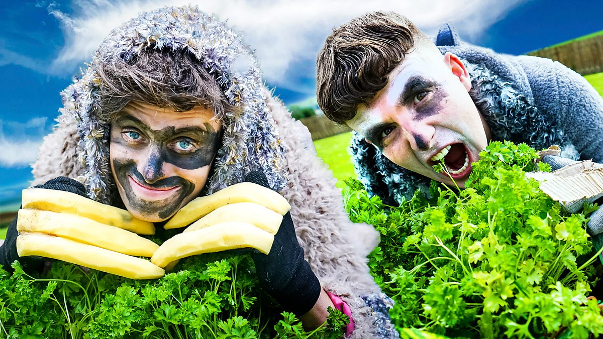 Bros in Control - Series 2: 9. Day as a Sloth - BBC iPlayer Bros in Control - Series 2: 9. Day as a Sloth - BBC iPlayer