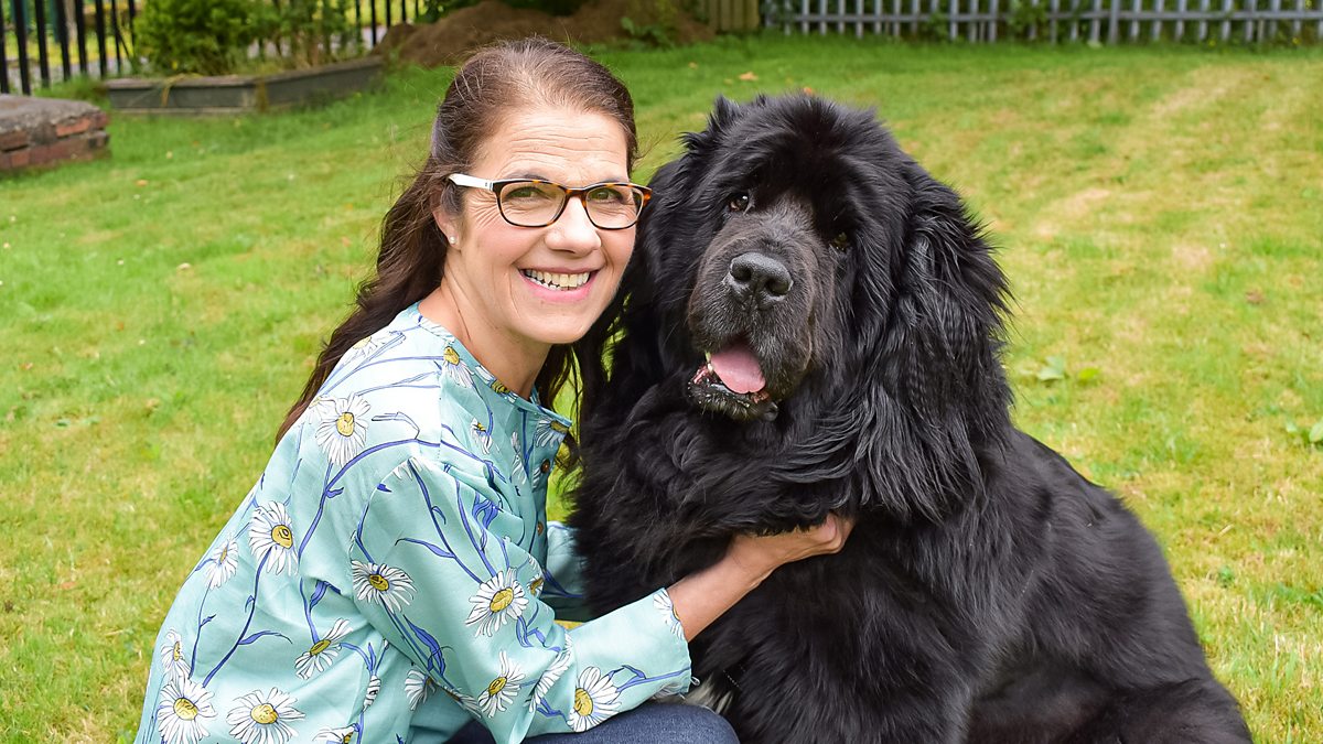 Dog Squad - Series 2: 3. Mission: Pop-Pop - BBC iPlayer