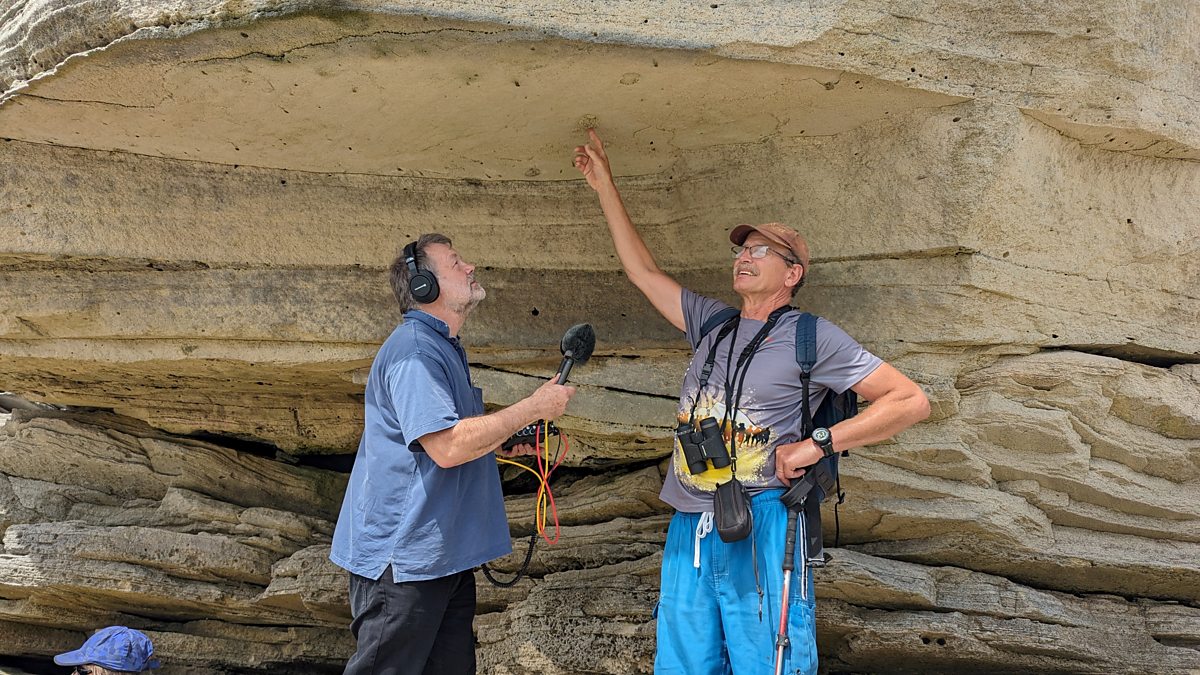 BBC World Service - Science In Action, Sounds of the Cape