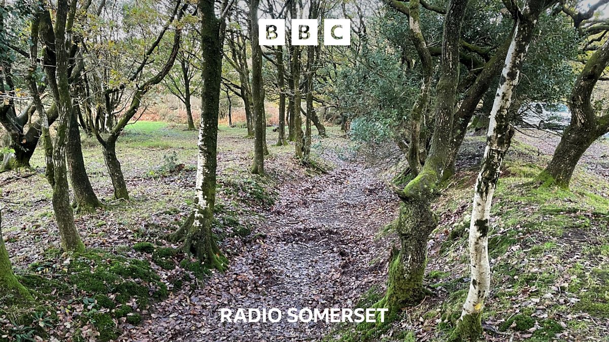 BBC Radio Somerset - BBC Radio Somerset, Secret Somerset: Dead Woman's Ditch
