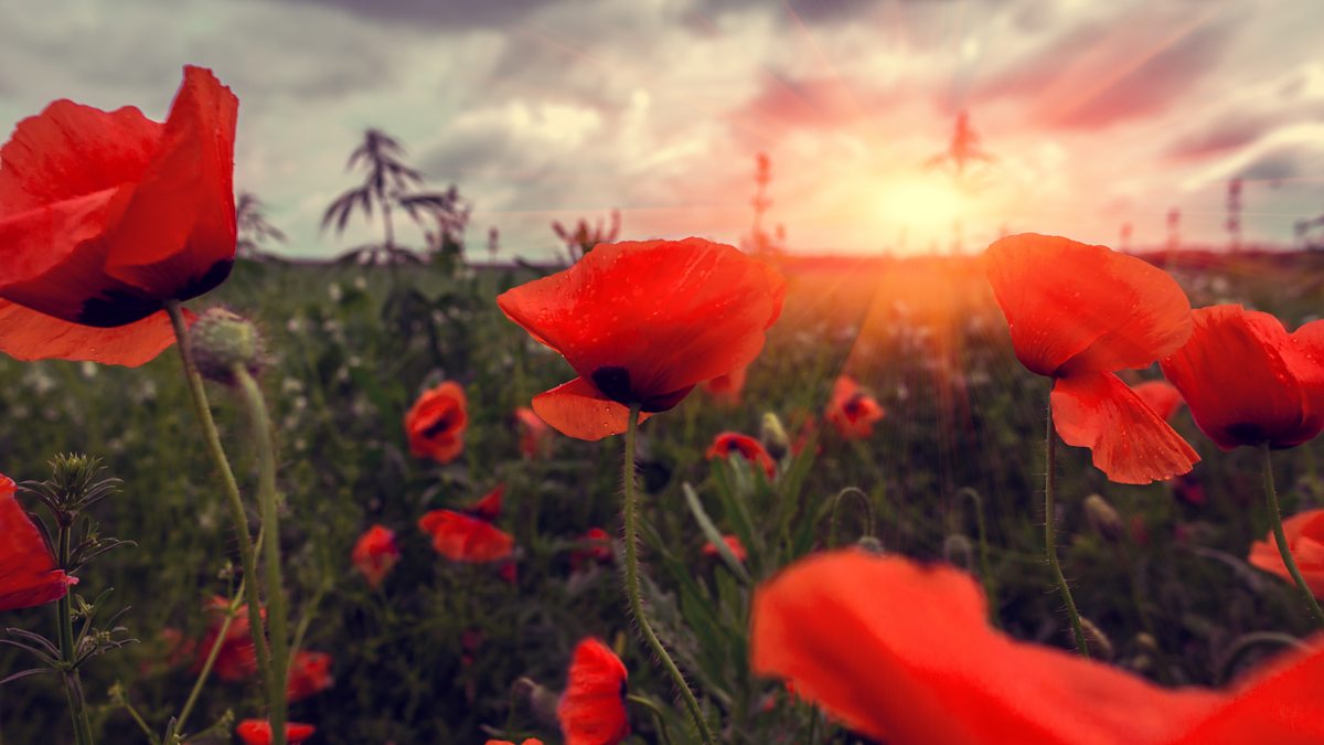 BBC Radio Ulster - Thought for the Day from Radio Ulster, Deborah Sloan ...