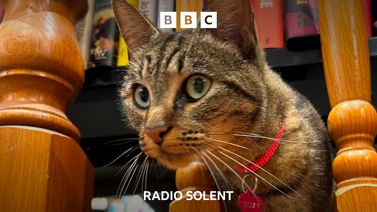 BBC Radio Solent - BBC Radio Solent, Meet Susie - Dorchester's ...