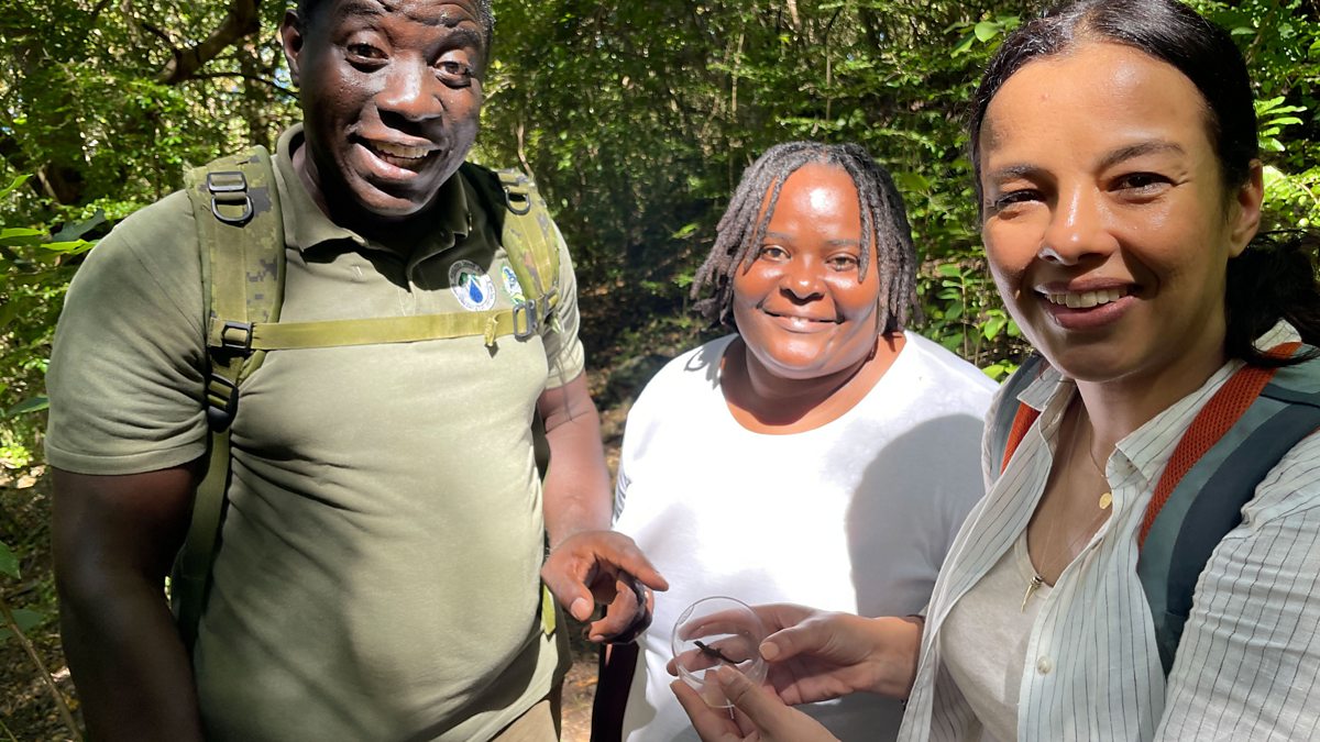 Liz Bonnins Wild Caribbean Series 1 3 The Lesser Antilles Bbc Iplayer