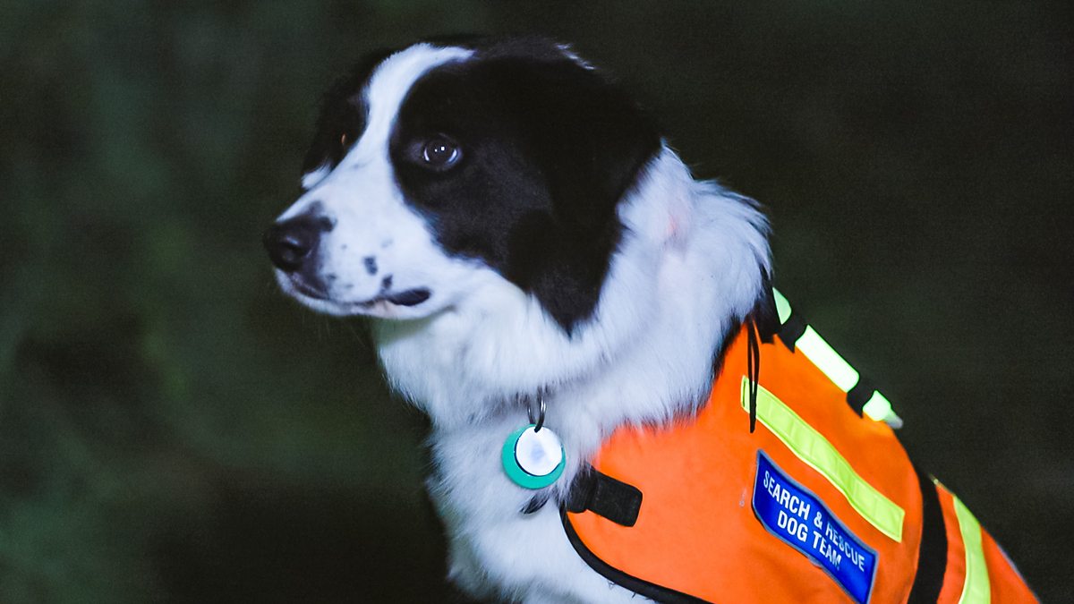 Dog Squad - Series 2: 10. Mission: Mountain Biker - BBC iPlayer