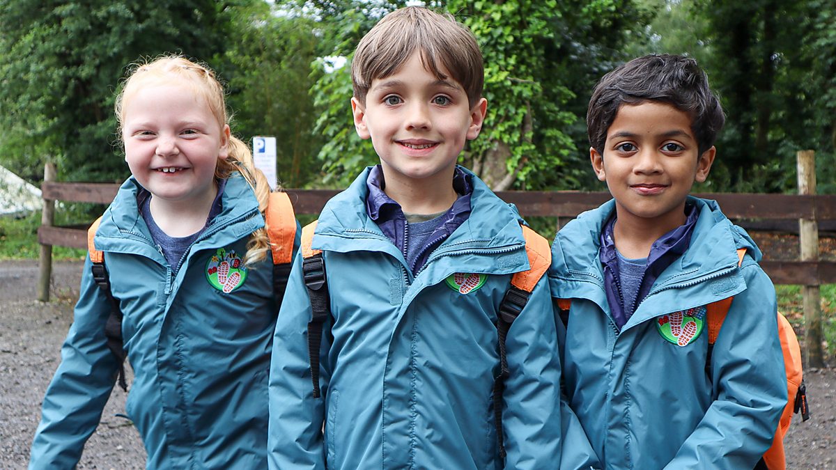 Ranger Hamzas Eco Quest - Series 2: 1. Woodlice - BBC iPlayer