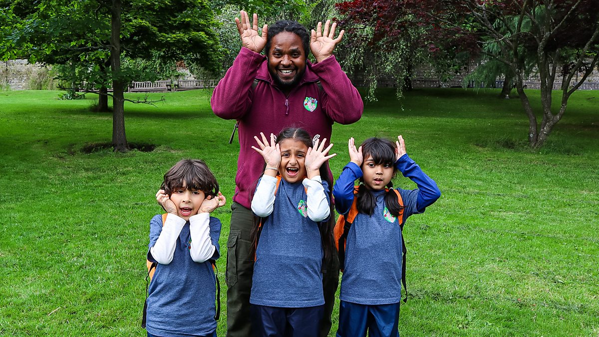 Ranger Hamzas Eco Quest - Series 2: 2. Stinging Nettles - BBC iPlayer
