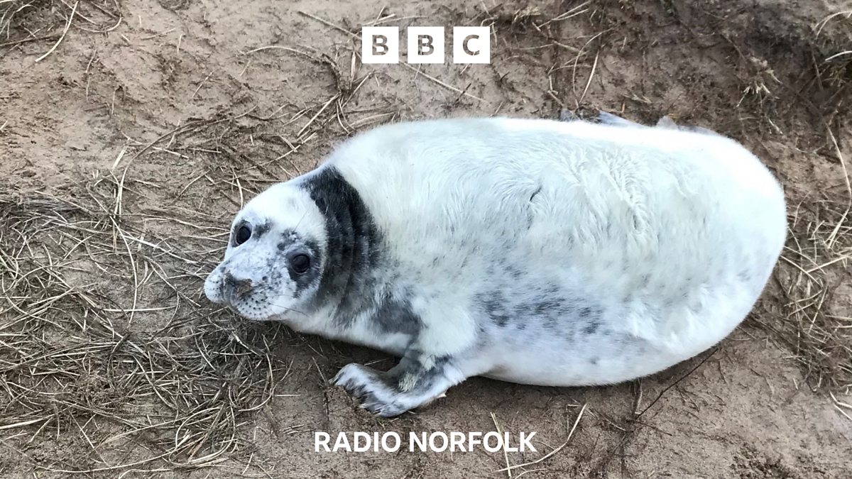 BBC Radio Norfolk - BBC Radio Norfolk, PM recognises Norfolk woman’s ...