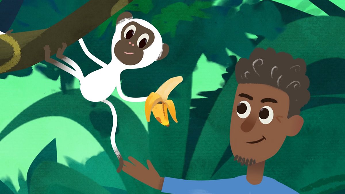 Musical Storyland - Series 1: 3. Ananse and the Monkeys - BBC iPlayer