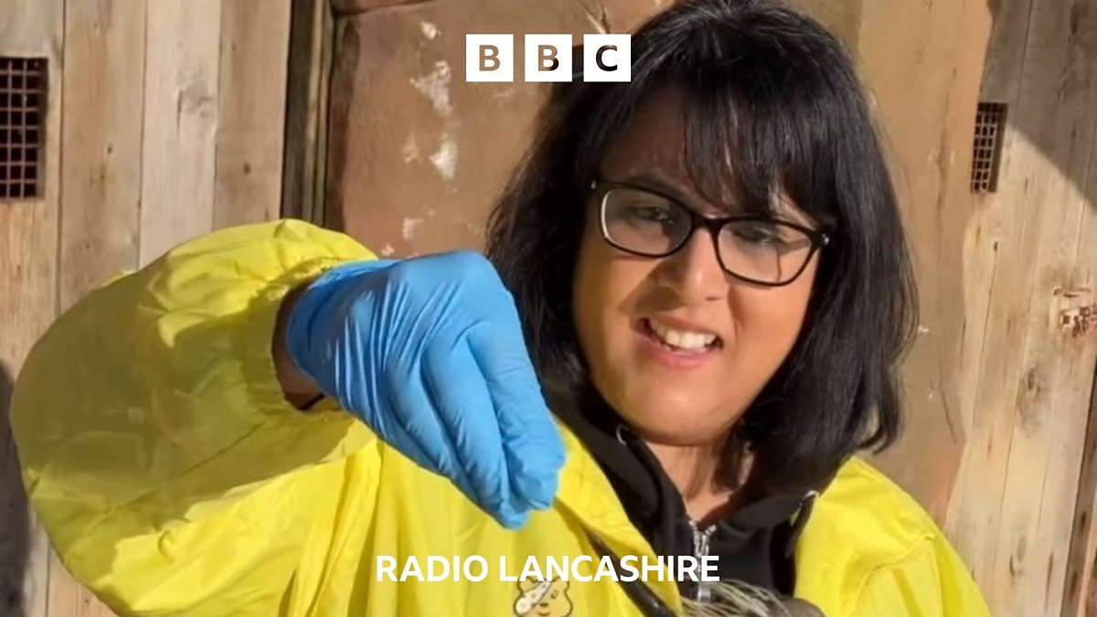 BBC Radio Lancashire - BBC Radio Lancashire, "What am I going to be ...