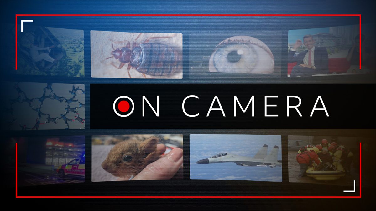 BBC - On Camera