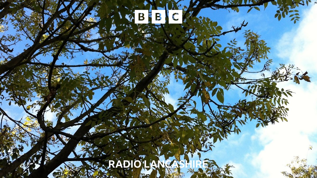 BBC Radio Lancashire - BBC Radio Lancashire, Preston's endangered ash trees