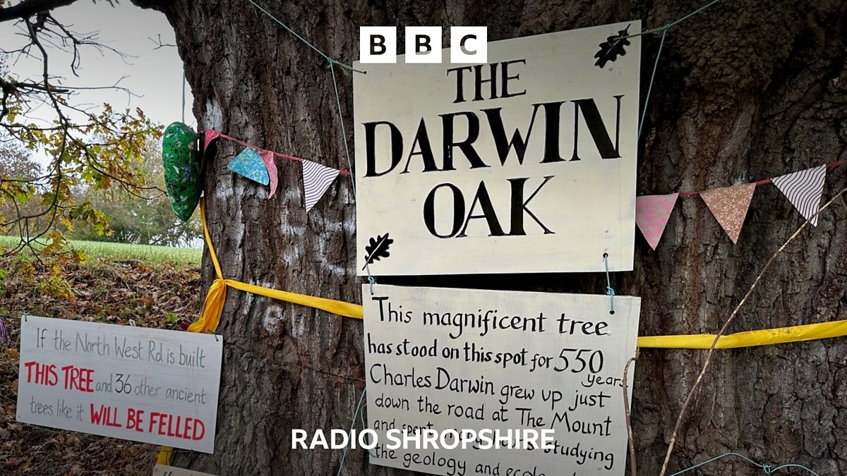 BBC Radio Shropshire - BBC Radio Shropshire, Darwin oak protest