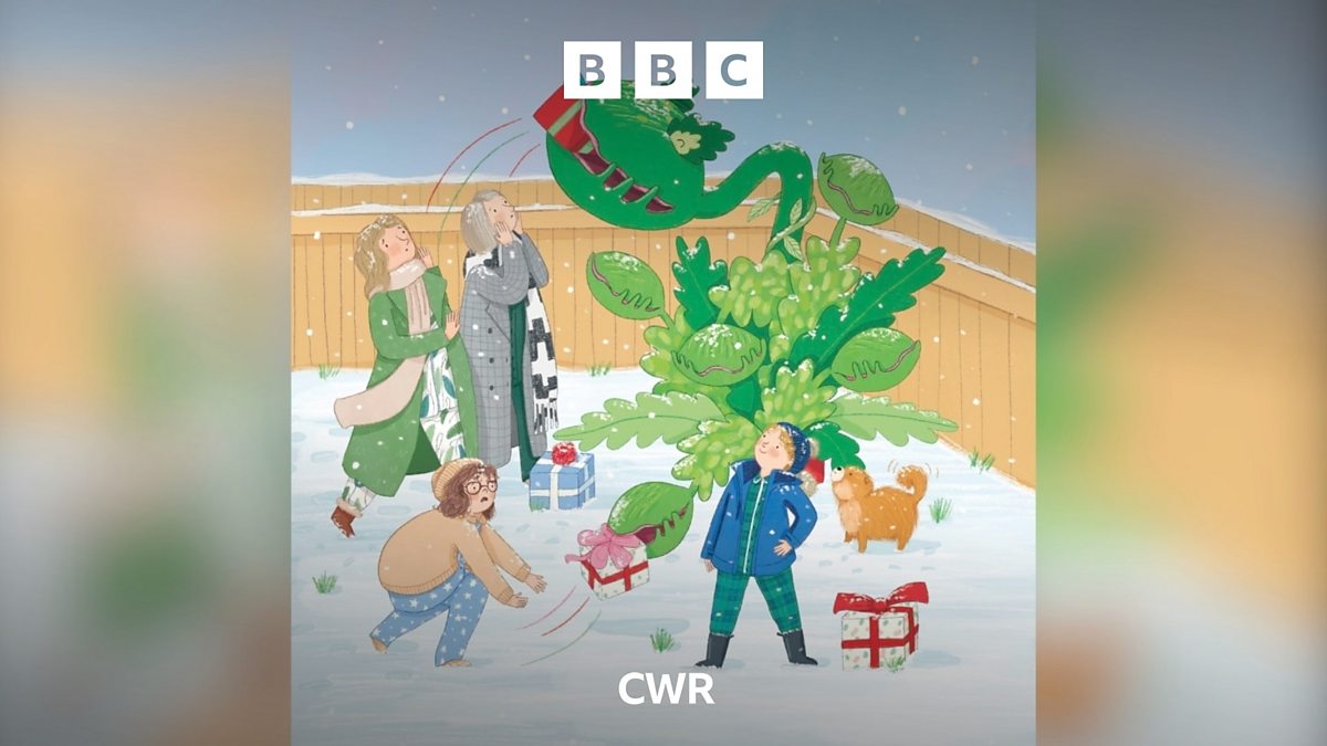 BBC CWR - BBC CWR, Leamington's Christine designs Christmas 'Snapper'