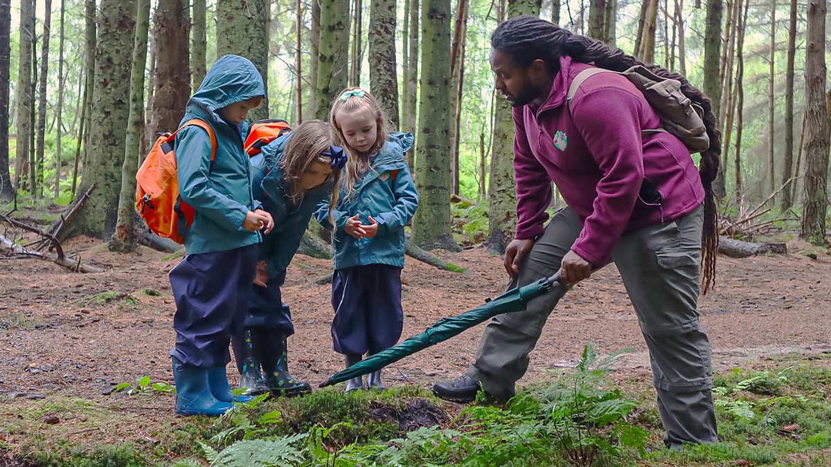 Ranger Hamzas Eco Quest - Series 2: 13. Mosses - BBC iPlayer