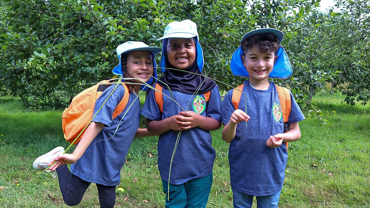 Ranger Hamzas Eco Quest - Series 2: 14. Reeds and Rushes - BBC iPlayer